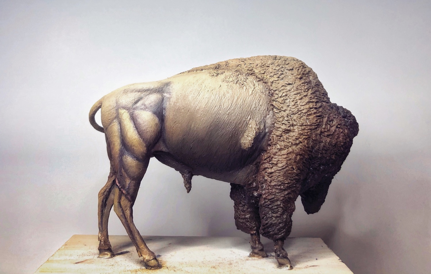 Modelismo equilibrado y proporcional, una bella perspectiva ...